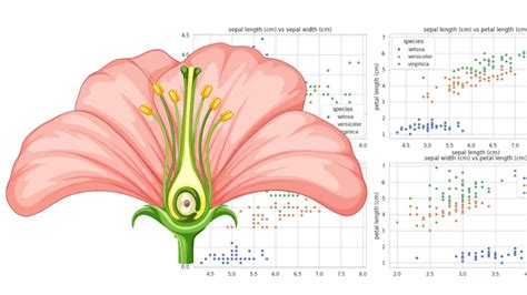 Building Neural Networks On Fpgas