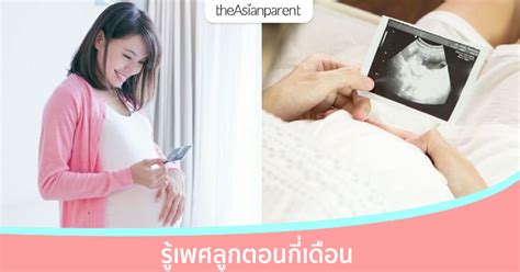 แม่จ๋าอยากรู้ จะรู้เพศลูกตอนกี่เดือน แม่ๆจะดูเพศในครรภ์ได้ตอนกี่เดือน