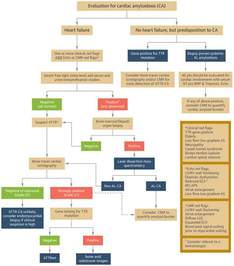 How To Image Cardiac Amyloidosis A Practical Approach Pmc