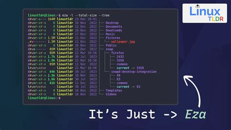 Eza A Modern Replacement Of The Ls Command On Linux Install Use