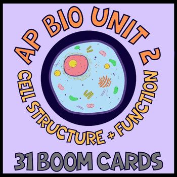 AP Bio Unit 2 Review Cards By Science With Cara TpT