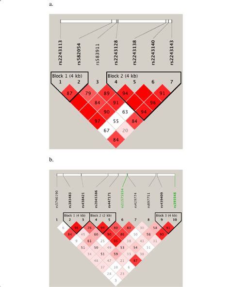 Pairwise Linkage Disequilibrium Ld Plots Of Il12a A And Il12rb1 B