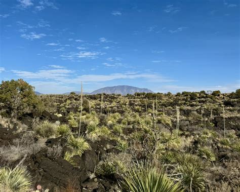 Nicholette And Brian Added A New Photo Nicholette And Brian