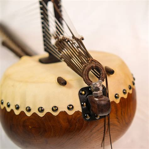 Kora African Harp 22 Strings Teakwood And Rosewood Case Backpack