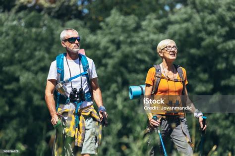 Mature Couple Hiking In Forest Wearing Backpacks And Hiking Poles Stock