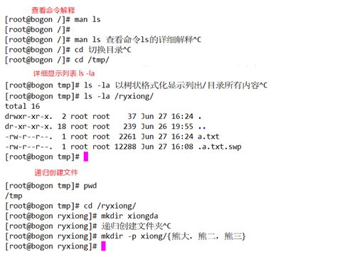 Linux基础Linux文件系统和常用命令 ryxiong 博客园