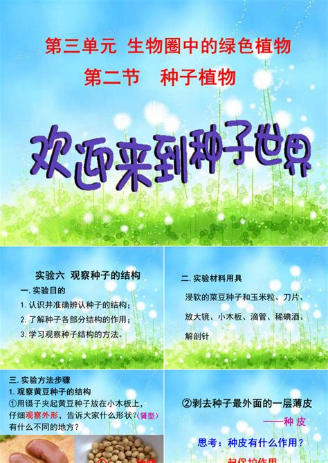 种子的结构ppt模板下载编号lazzvbaa熊猫办公