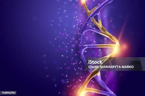 창조적 인 배경 Dna 구조 보라색 배경 자외선에 황금 Dna 분자 3d 렌더링 3d 그림 의학 연구 실험 실험 바이러스 및 질병의 개념 Dna에 대한 스톡 사진 및 기타