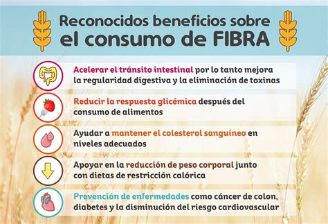 La Importancia De La Fibra Beneficios Kelloggs®