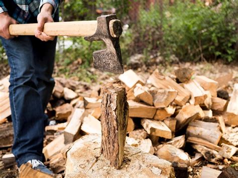 How To Remove A Tree Safely Chigwell Tree Services Expert Guide