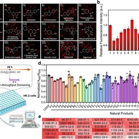 Pdf A Fluorescentphotoacoustic Probe For Imaging Of Hydroxyl Radical