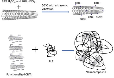 Surface Modification Or Functionalization Of Carbon Nanotube Based Download Scientific Diagram