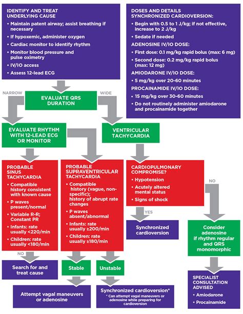 Pediatric Advanced Life Support Algorithms