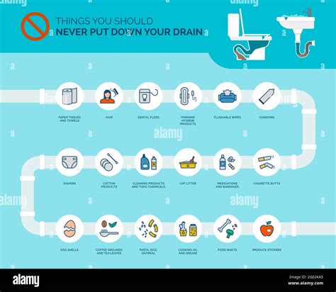things you should never put down your drain infographic how to prevent clogs in your drain