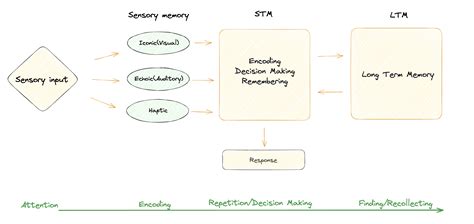 Cognee Llm Memory Systems Ai Memory Types And Applications Explained