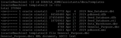 Create And Drop Oracle Database Using Dbca Silent Method