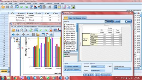 Spss Chart Editor Edit Charts In Spss Example Using A Clustered Bar Chart