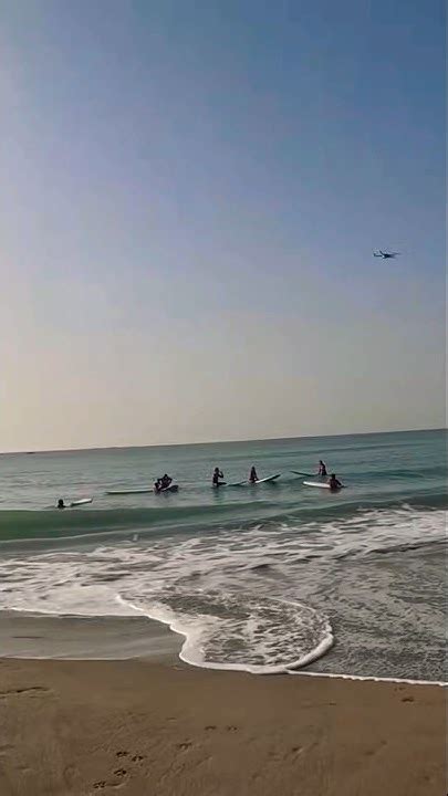 새벽서핑 큰 파도를 기다리고 있는 바인스탭들 🌊🏄‍♂️ 서핑 Shortsvideo 송정해수욕장 Youtube