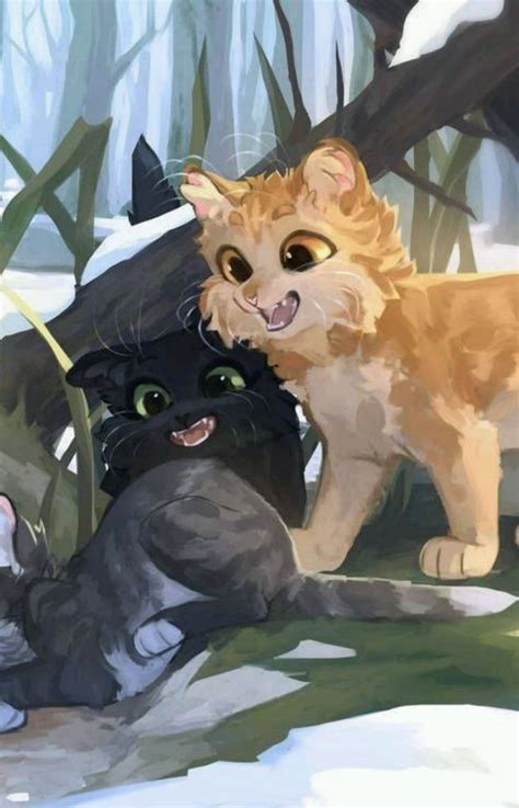 Арты на тему коты воители Иллюстрации кошек Любители кошек Кот воитель