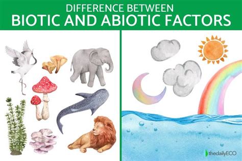 Biotic Vs Abiotic Factors Key Differences And Examples Explained