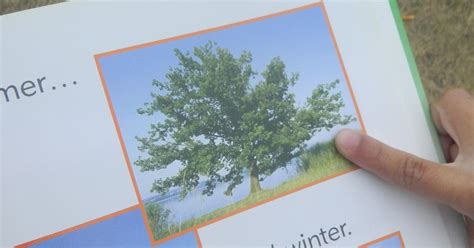 Our Class Blog Nature Exploration Part II