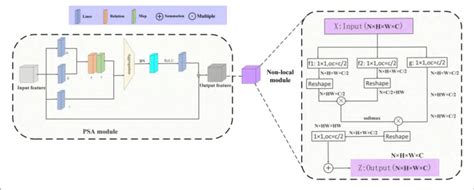 Psa Module And Non Local Module Download Scientific Diagram