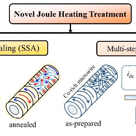 Schematic For Sample Treatments Using SSA And MSA Methods Download Scientific Diagram