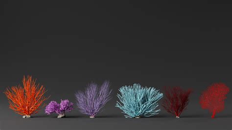 Underwater Collection