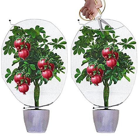 Byhoo Cicada Netting Guard 2 Pcs Tree Bags Fruit Protectors 3 28 X 2 62 Feet