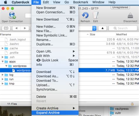 How To Install WordPress In A Subdirectory ServerPilot
