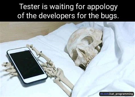 Testing Qa Ithumor Bug Developer Igor Khodyko