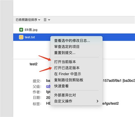 Sourcetree使用看这一篇就够了sourtree Csdn博客