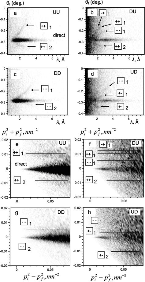 A D Experimental Two Dimensional Map Of Intensity F For Download Scientific