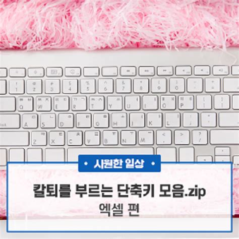 칼퇴를 부르는 단축키 모음 Zip 엑셀 편 네이버 블로그