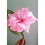 Como Fazer Flor De Papel Crepom Casa Artesanato