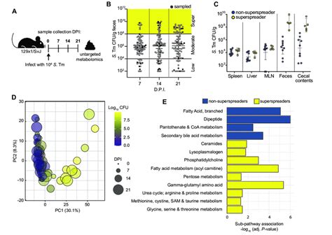 S Tm Superspreaders Share A Distinct Metabolic Landscape A Infection