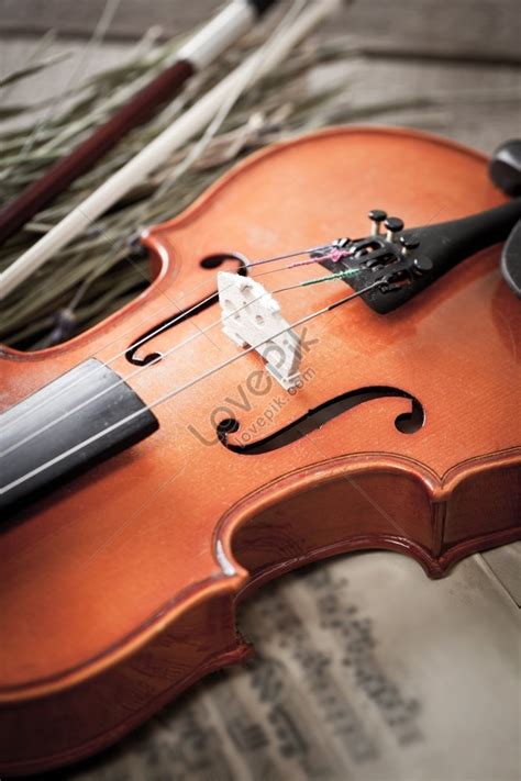 바이올린과 라벤더 그림이 있는 빈티지 구성 사진 무료 다운로드 Lovepik