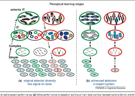 Figure 4 From The Reverse Hierarchy Theory Of Visual Perceptual Learning Semantic Scholar