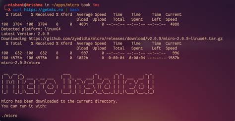 micro lightweight terminal based text editor geeksforgeeks