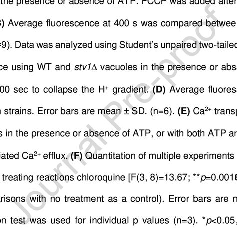 V Atpase Function Affects Ca 2 Transport A Ao Fluorescence Using Wt And Download
