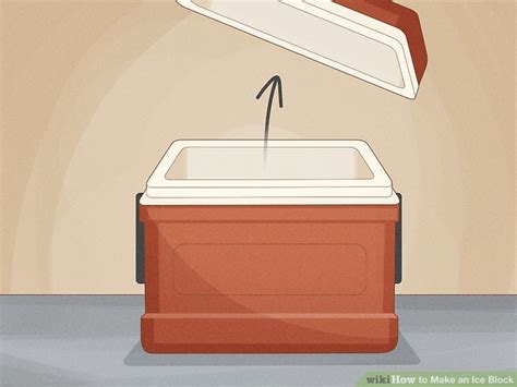 How To Make An Ice Block With Pictures WikiHow