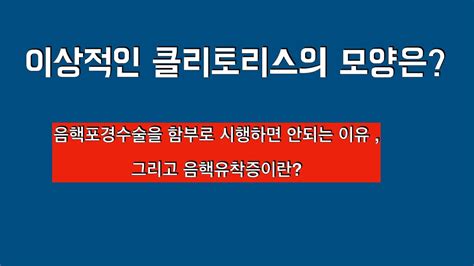 이상적인 음핵 클리토리스 의 모양은 어떤 형태일까 YouTube