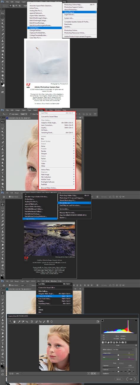 Unable To Install Camera Raw 911 In Cs6 Was No Adobe Product