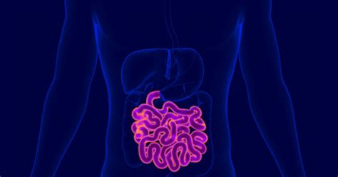 Small Bowel Obstruction Symptoms Causes And Treatment Options