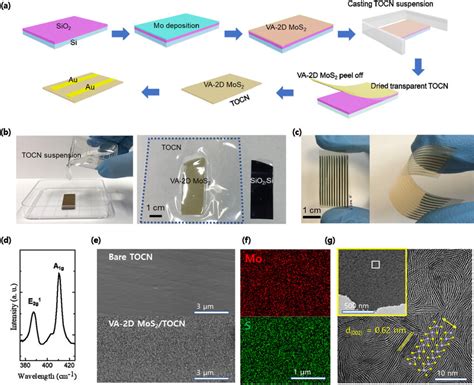 Material Preparation And Characterization Of Va 2d Mos2 Layers