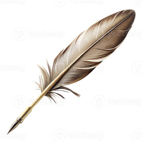 Feather Quill Pngs For Free Download