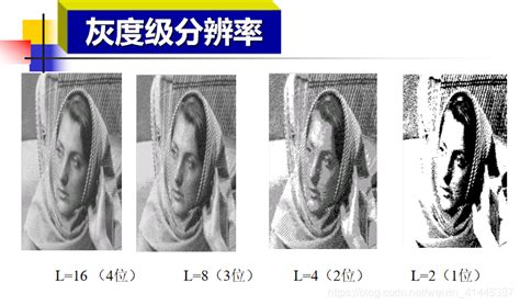 图像方面基础知识图像基础知识 Csdn博客