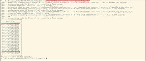 [support]data can be found in the latest partition of hudi table but not in the historical