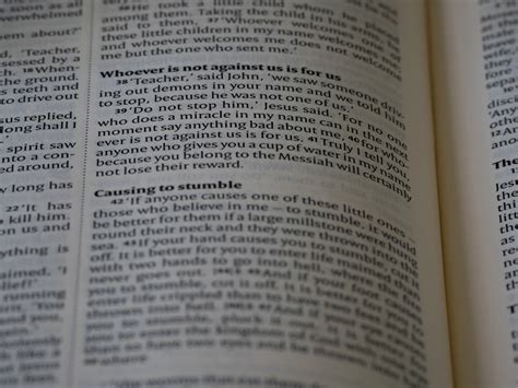 The Complete Guide To Eam Software Optimizing Asset Lifecycle And