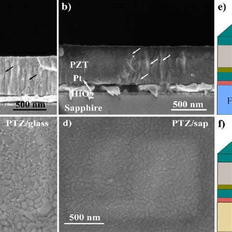 Scanning Electron Micrographs Showing Cross Sections Arrows Indicating
